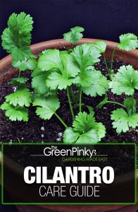 One moment, please...