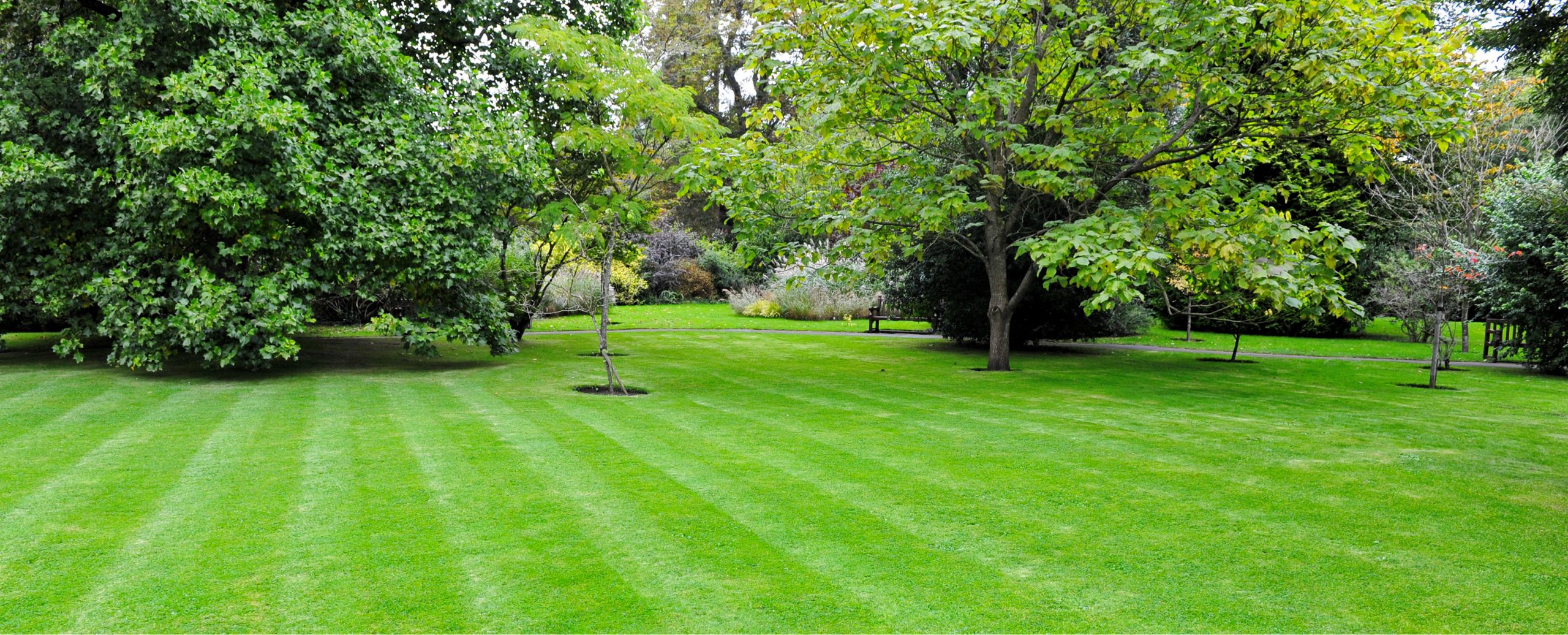 What Are The Most Common Types Of Grass 10 Most Common Types