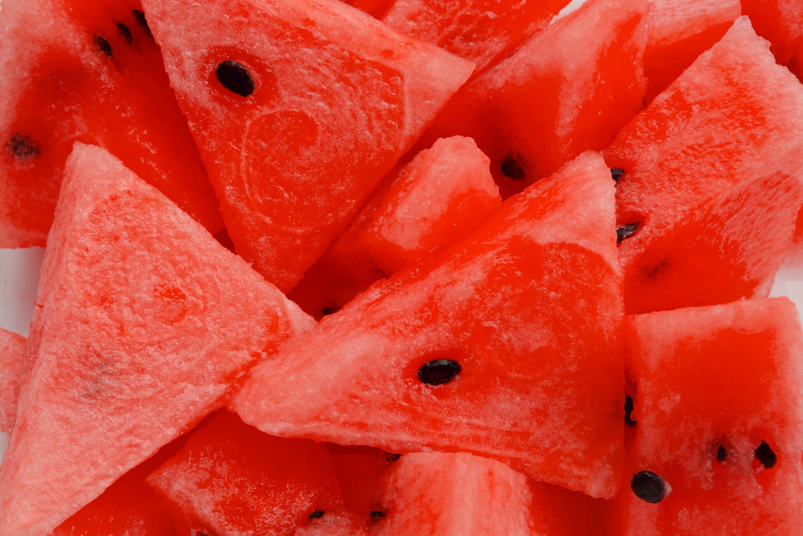 How to Grow Watermelon? — Our Guide with Tips (that Work)