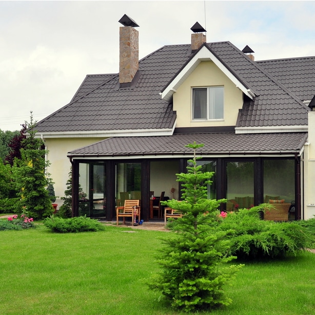 Pine Tree Growing Guide — Tips (that Work)