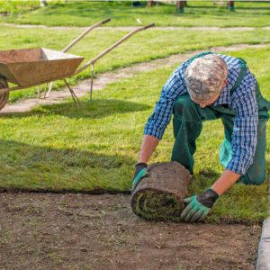 How to Raise New Sod? — Don’t Fall for the Common Mistakes